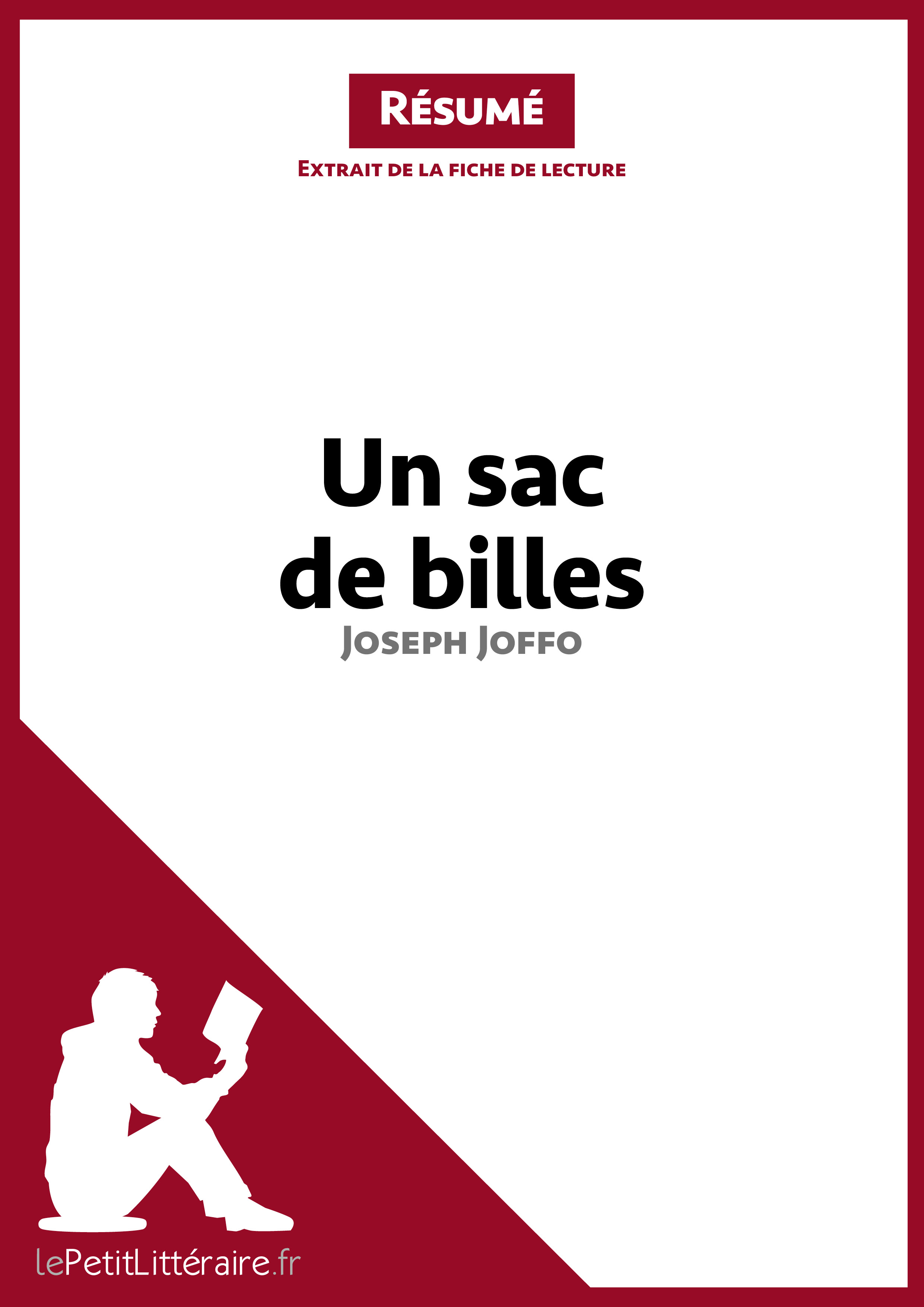 lePetitLitteraire.fr - Un sac de billes : Résumé du livre