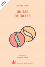 Un sac de billes (Joseph Joffo) - résumé du livre