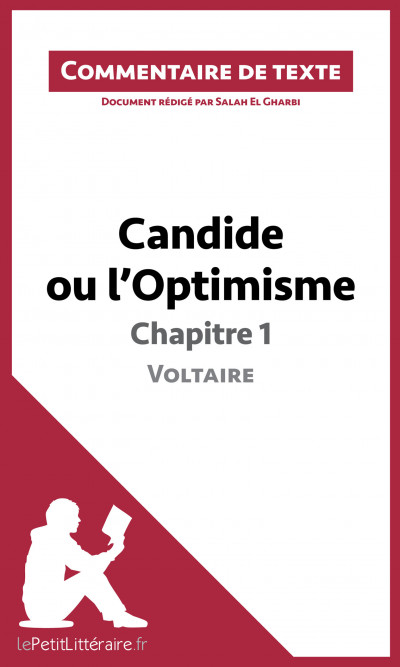résumé de l'oeuvre candide