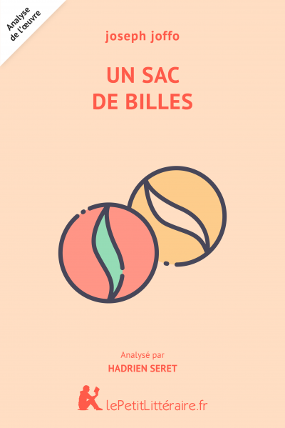 un sac de billes fiche de lecture gratuite